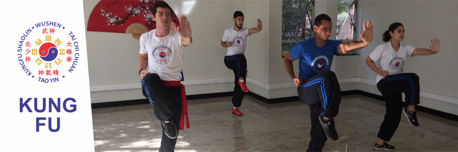 Kung Fu Shaolin do Norte e o Método Wushen – Kung Fu e Tai Chi Chuan