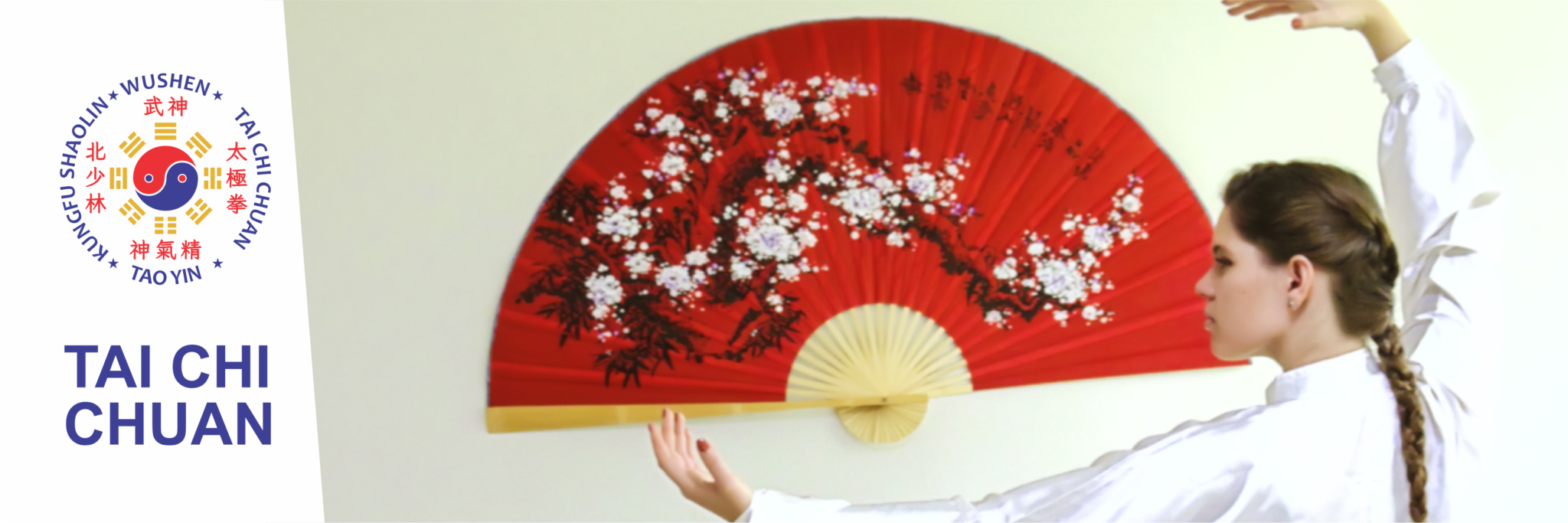 Kung Fu e Tai Chi Chuan Belo Horizonte MG Escola Wushen