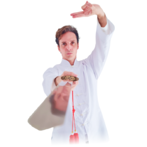 Cursos Online Escola Wushen - Kung Fu e Tai Chi Chuan